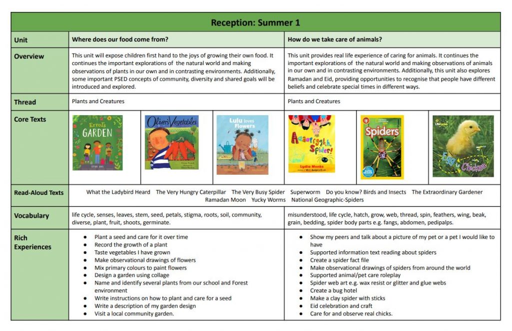 Springfield Primary School | EYFS Reception Curriculum at Springfield